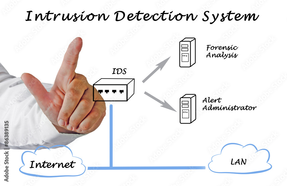 diagram of Intrusion Detection System Stock Photo | Adobe Stock