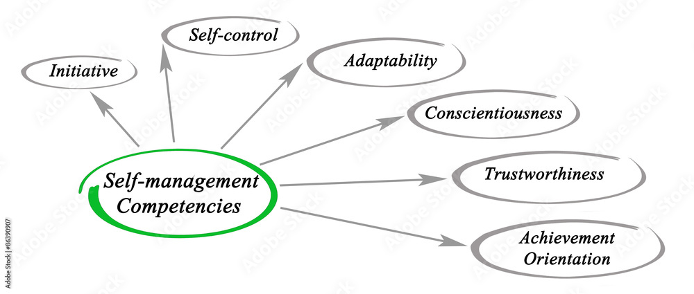 self-management competencies Stock Illustration | Adobe Stock