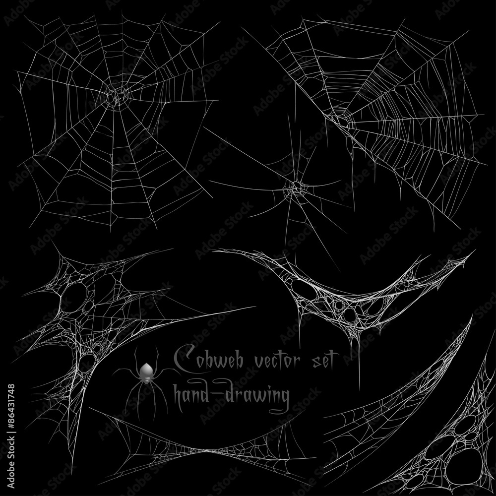 Hand drawing cobweb set Stock Vector | Adobe Stock
