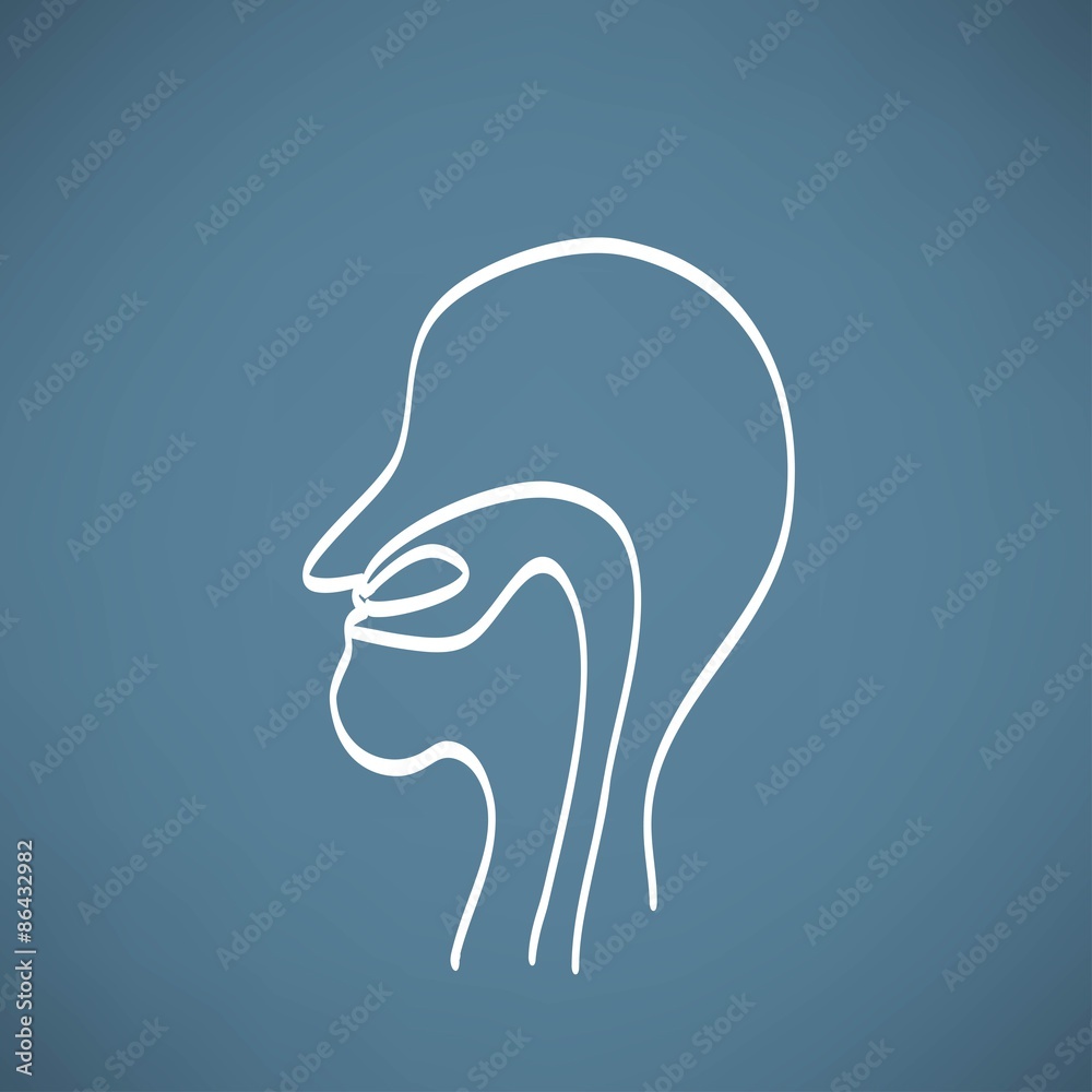 nose anatomy outline chalk painted on chalkboard vector illustration ...