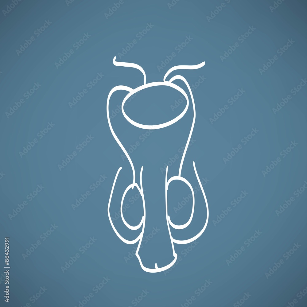 Male reproductive system sketch Stock Vector | Adobe Stock