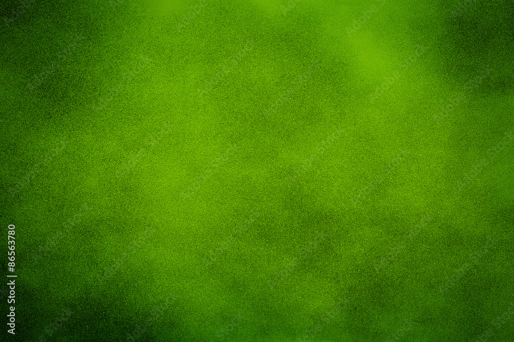 Green texture background Stock Photo | Adobe Stock