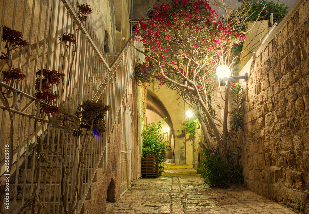 Jaffa Stock Photo | Adobe Stock