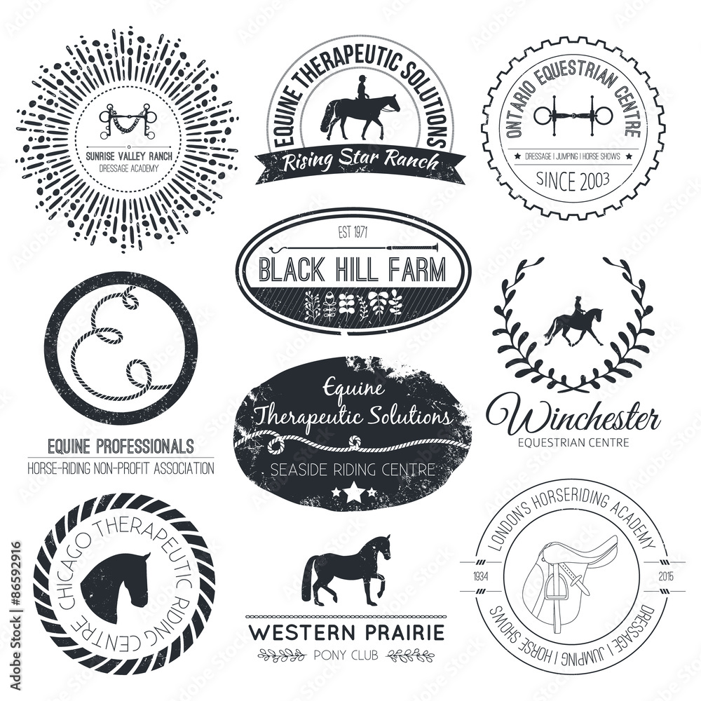 Equine Logo Stock Vector | Adobe Stock