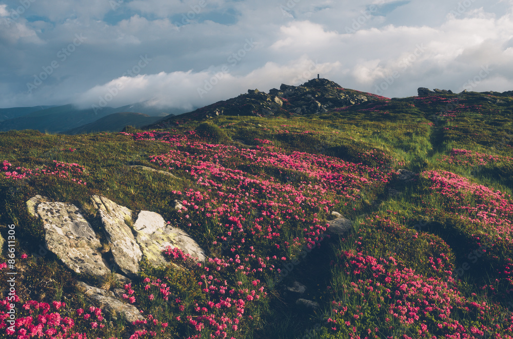 Low Contrast Color Photography