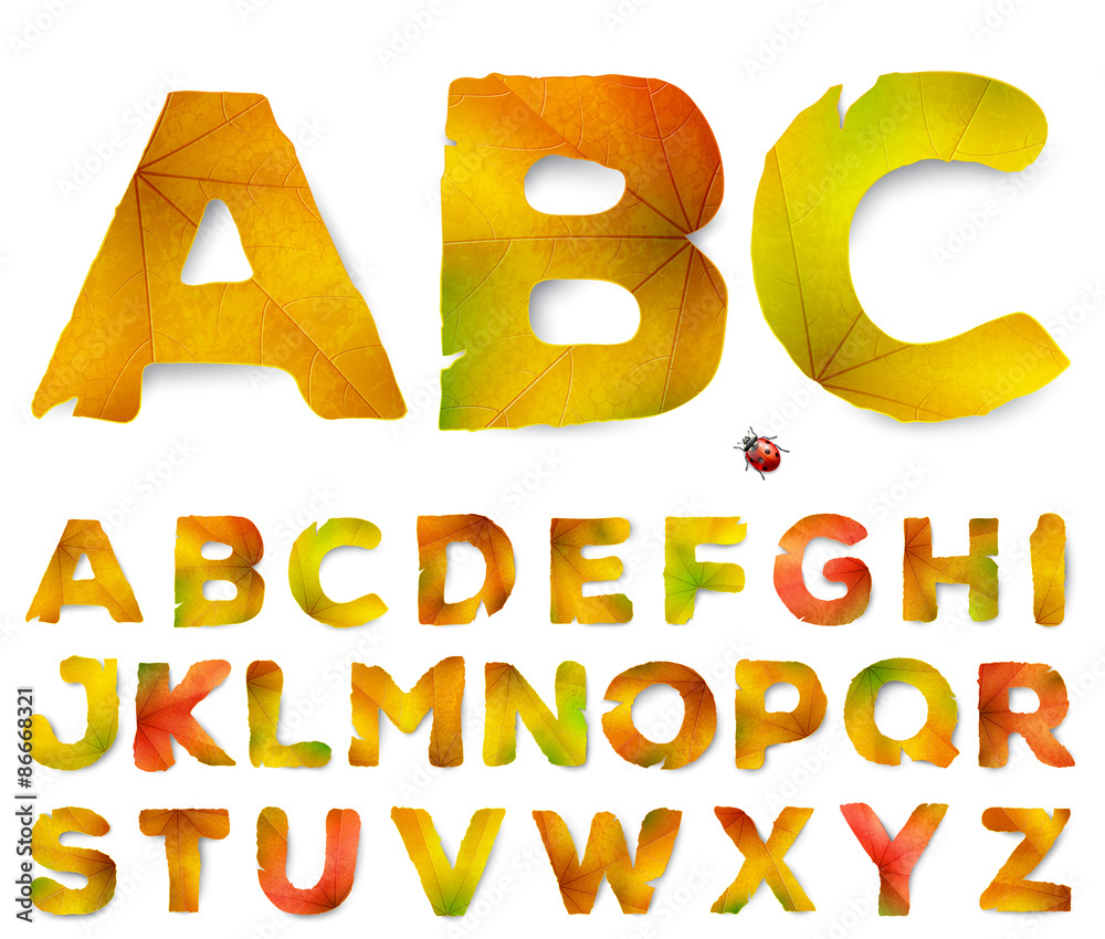 Vector alphabet letters made from autumn leaves, isolated on white ...