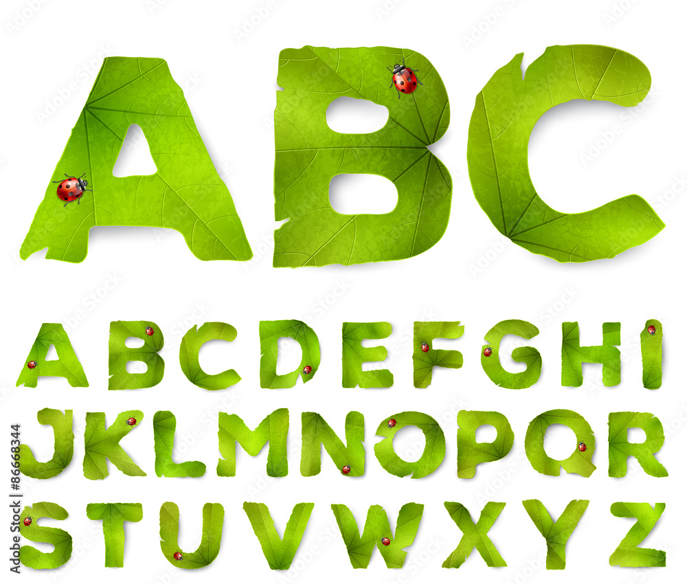 Vector alphabet letters made from green leaves, isolated on white Stock ...