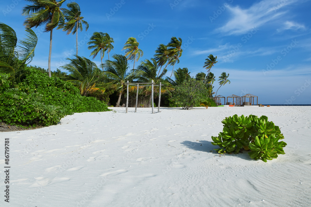 Tropical beach with coconut palms, Maldives Island, Indian Ocean Stock ...