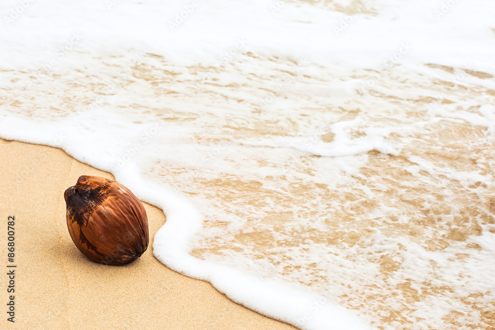 Coconut on wet yellow beach sand and foamy wave water Stock Photo ...