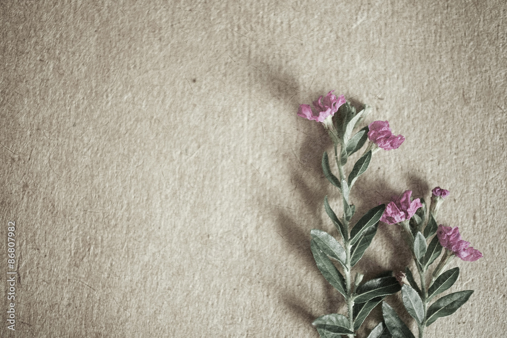 weed flowers in vintage color style on mulberry paper texture for ...