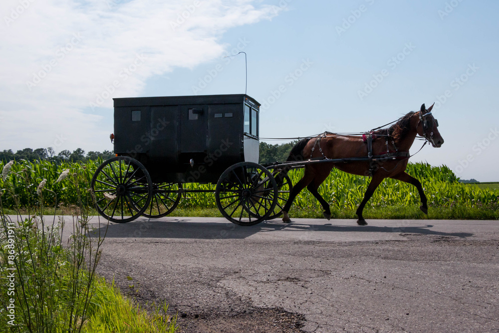 Amish Horse and Buggy. An Amish style black buggy drawn by horse in ...