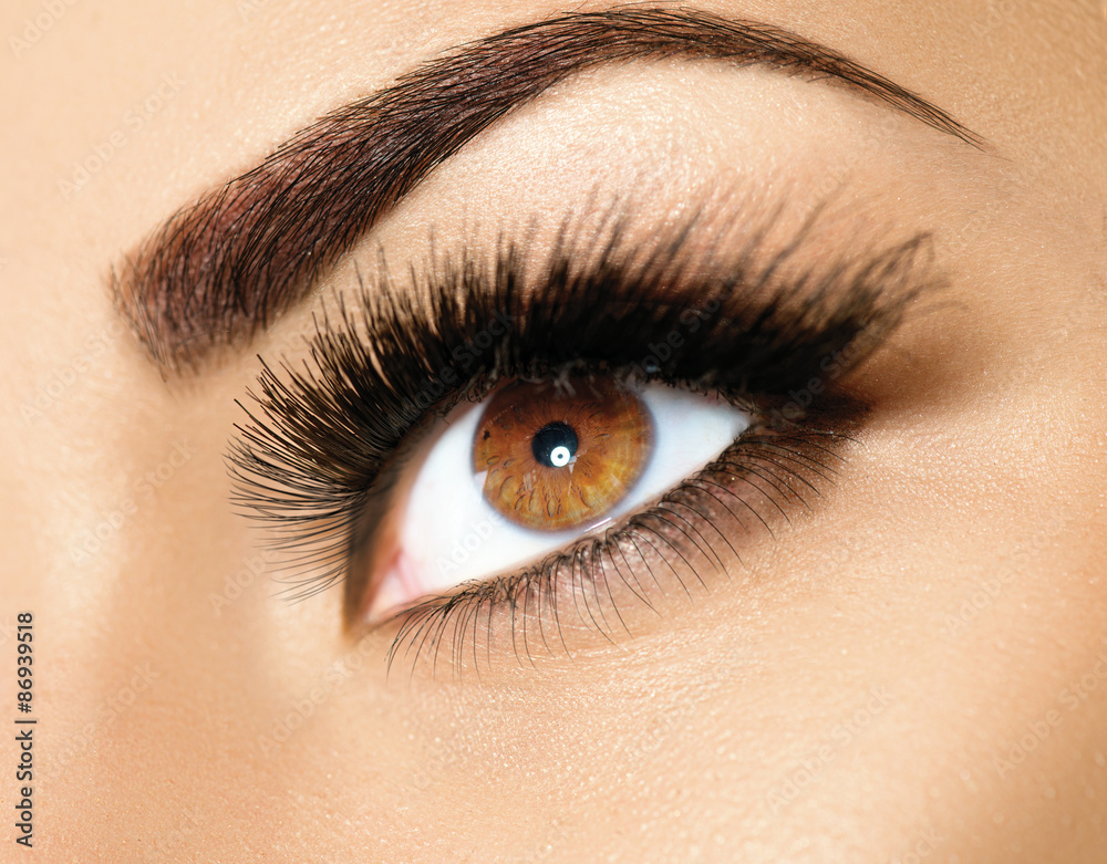 Brown eye makeup. Perfect beauty eyebrows foto de Stock | Adobe Stock