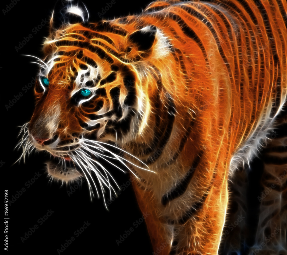 Digital drawing of a tiger Stock Illustration | Adobe Stock