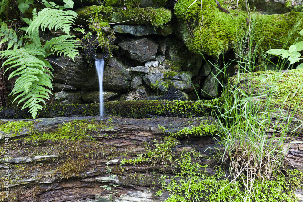 Wasserquelle in den Bergen von Südtirol Stock-Foto | Adobe Stock