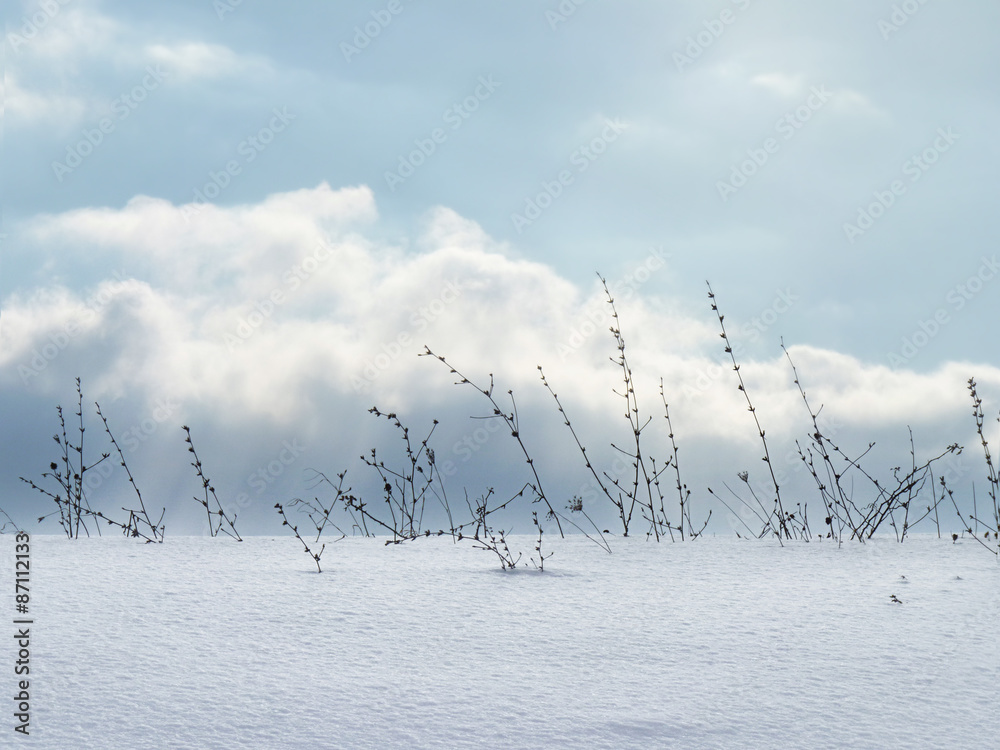 simple snowy landscape with clouds and branches Stock Photo | Adobe Stock