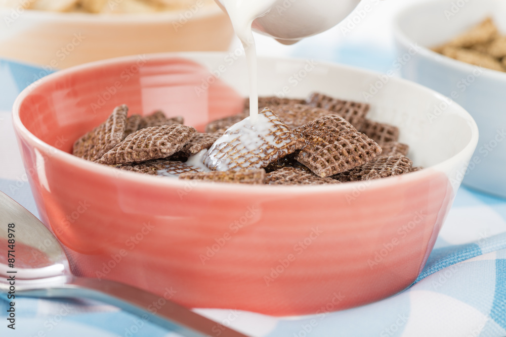Coco Shreddies - A bowl with chocolate flavoured cereals. Stock Photo ...