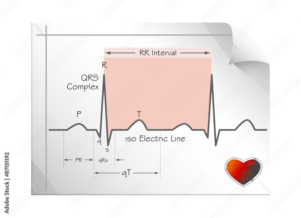 Understanding Heart ECG - Illustration Stock Vector | Adobe Stock