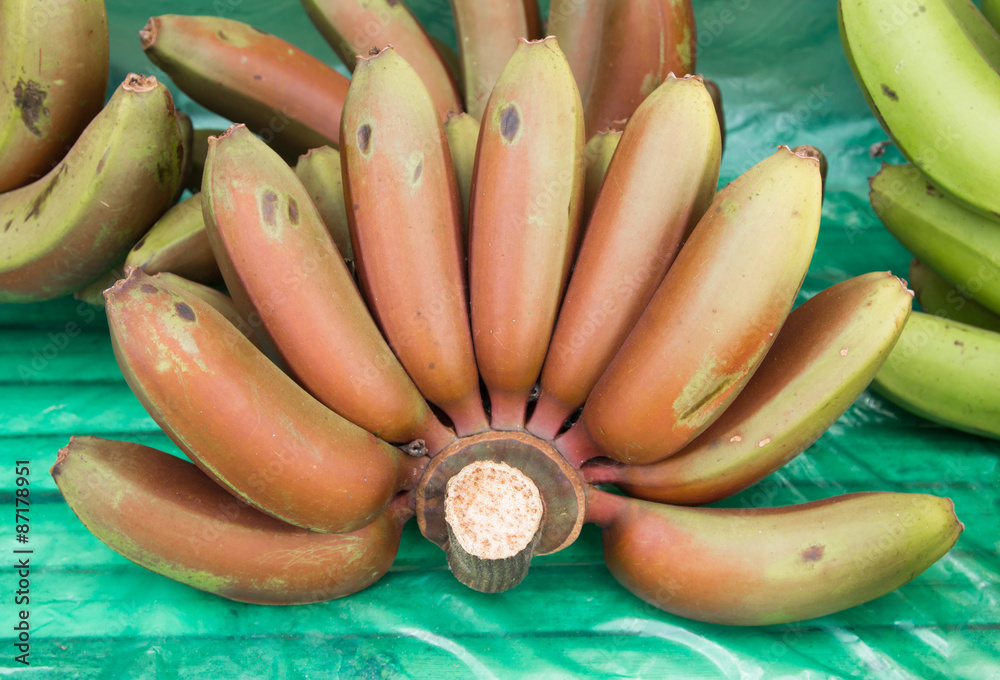 Red Dacca Bananas