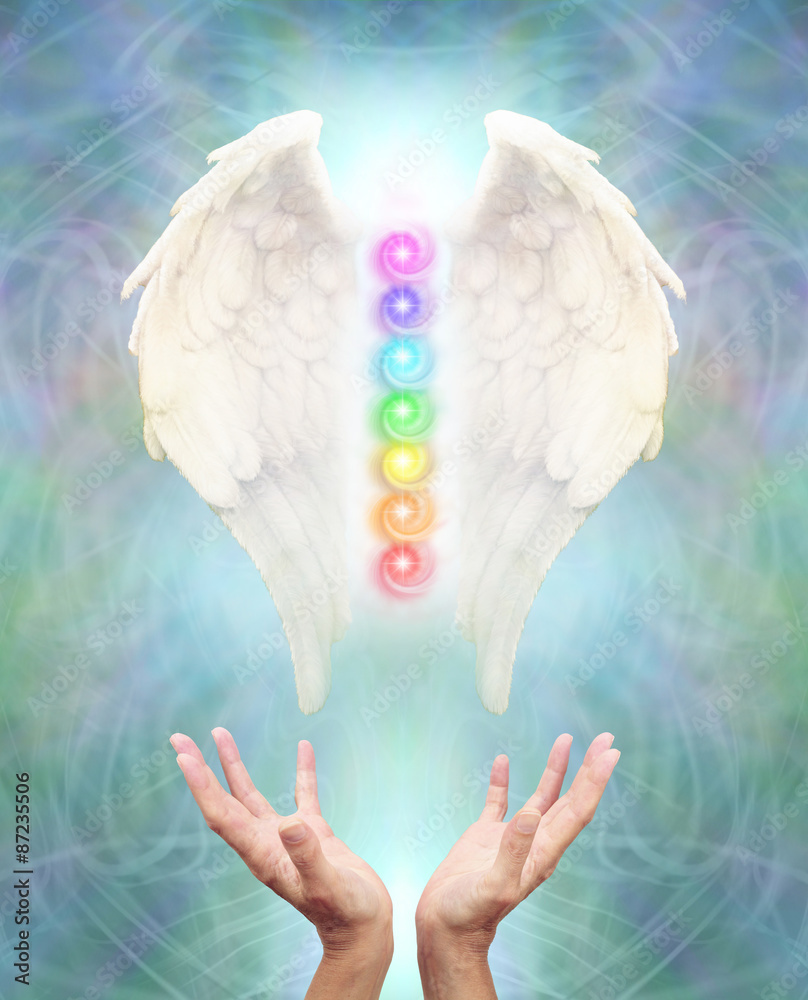 Sacred Angel Chakra Healing - White Angel wings with seven chakras ...