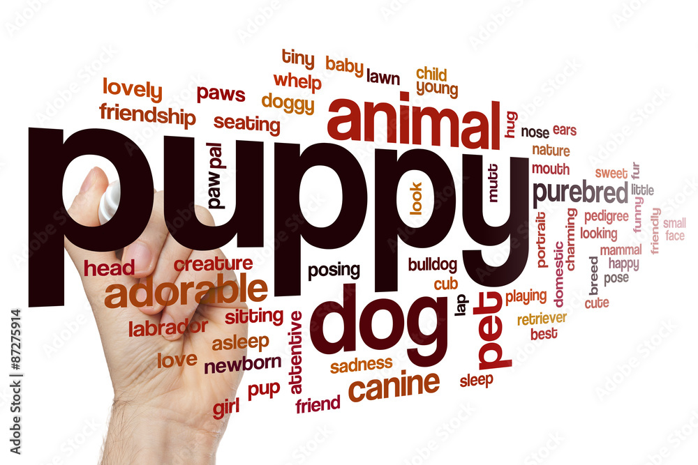 Puppy word cloud concept Stock Photo | Adobe Stock
