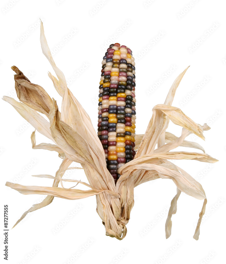 Colorful Corn