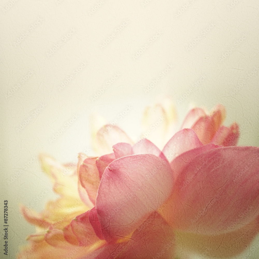 sweet color lotus in soft color and blur style on mulberry paper ...