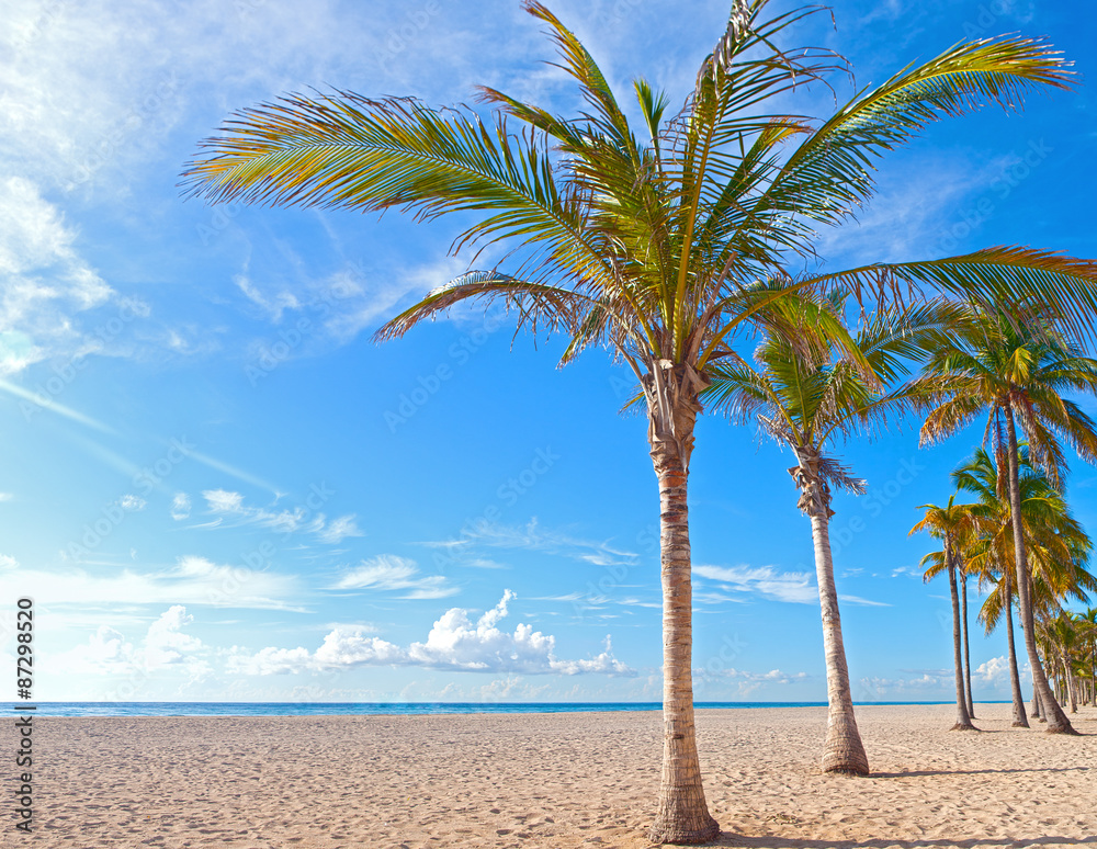 Sunny Florida