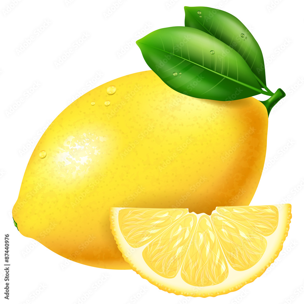 Lemon illustration. Stock Vector | Adobe Stock