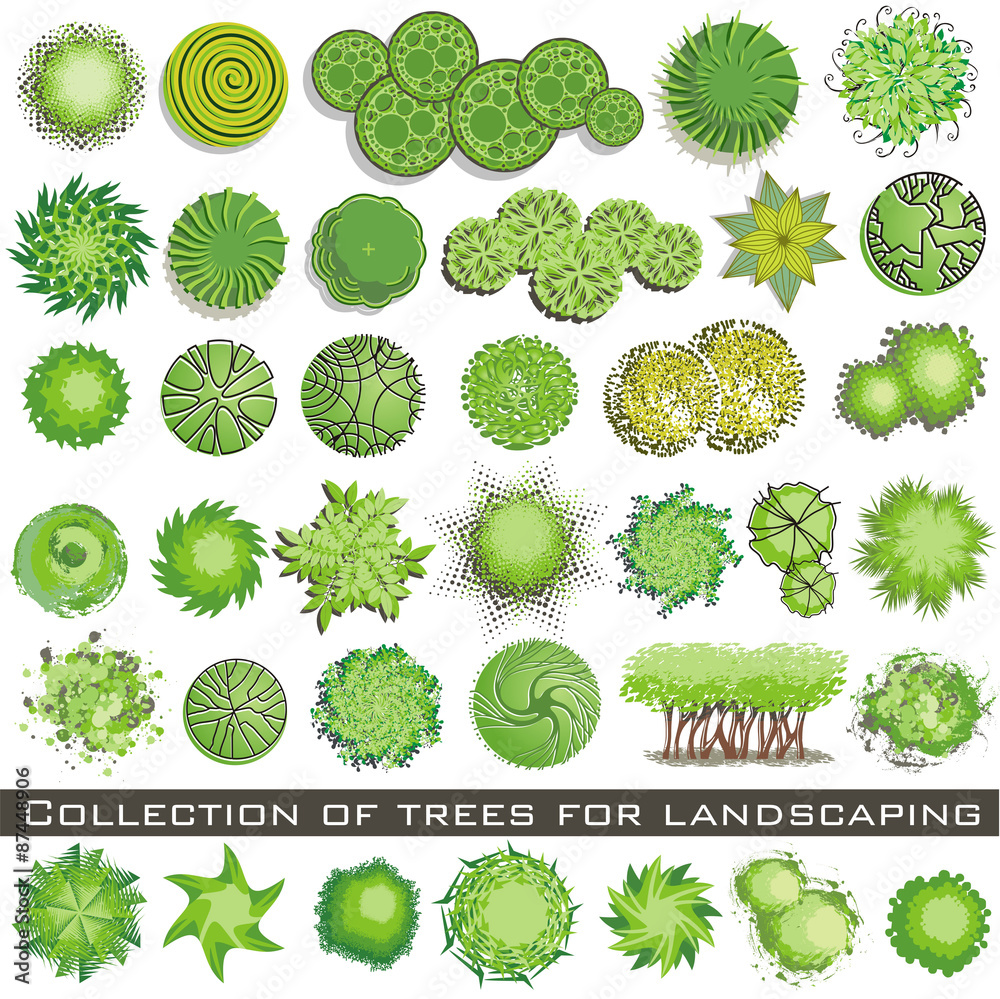 Trees and bush item top view for landscape design, vector icon. Stock ...