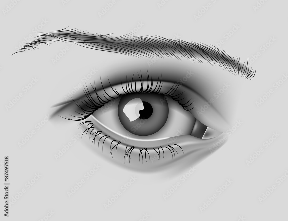 Vector Realistic Women Eye Stock Vector | Adobe Stock