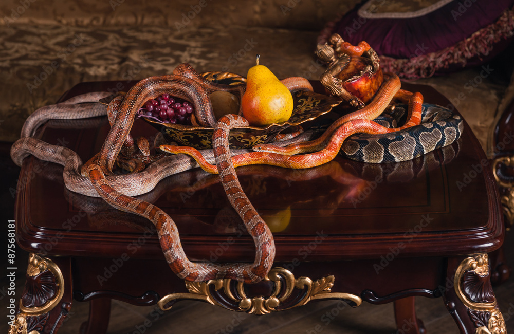 Foto Stock snakes on wood table and dish with fruits | Adobe Stock