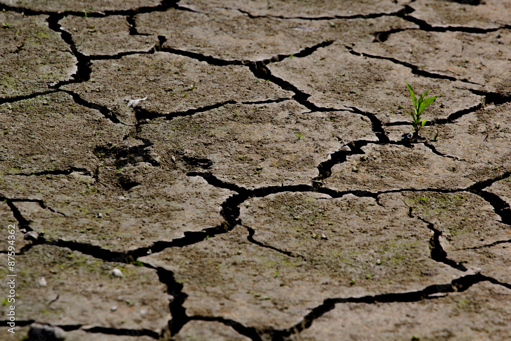 Drought - river dried up-Global Warming Stock Photo | Adobe Stock