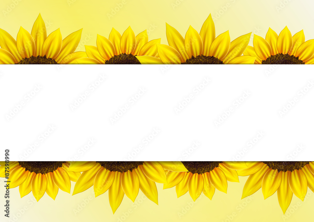 Sunflower vector background for image and text Stock Vector | Adobe Stock