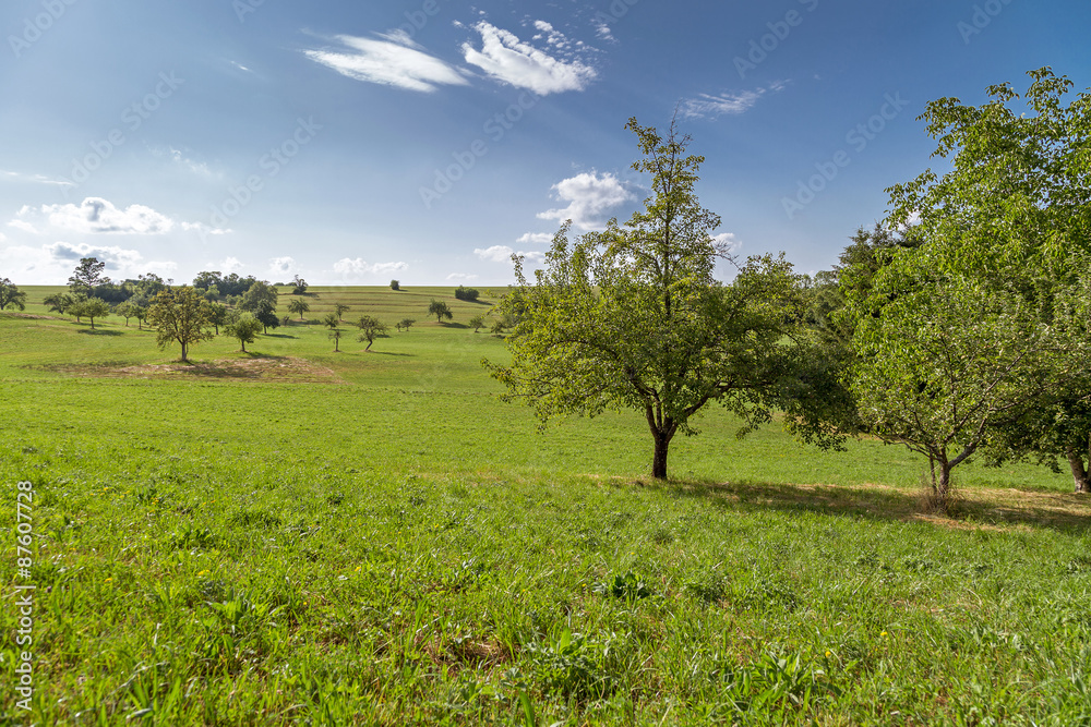 Nature Stock Photo | Adobe Stock