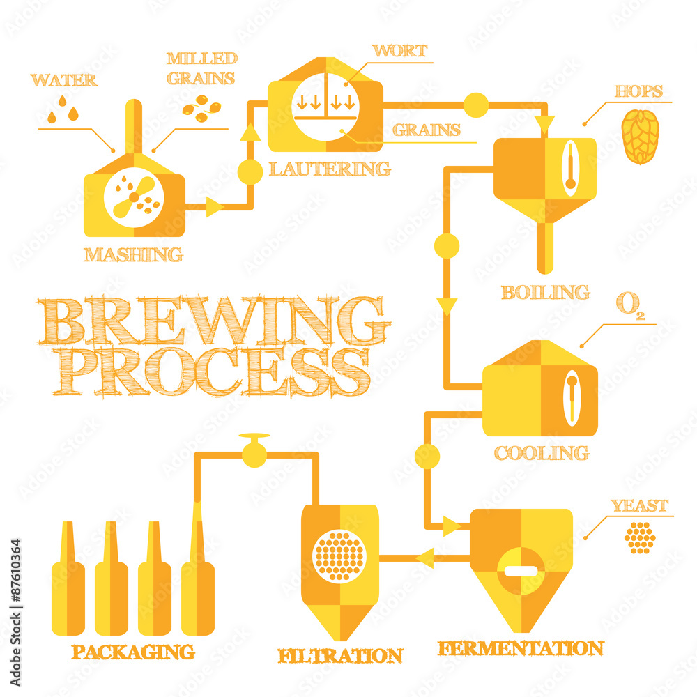 Brewery Steps Beer Brewing Process Elements Mashing Lautering