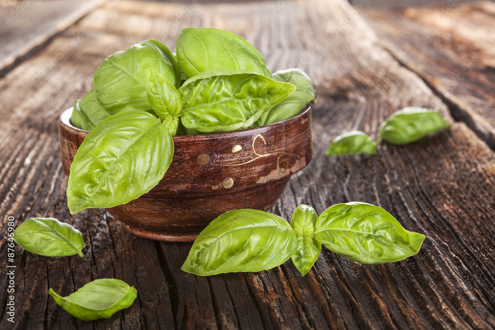 Basil herbs. Stock Photo | Adobe Stock
