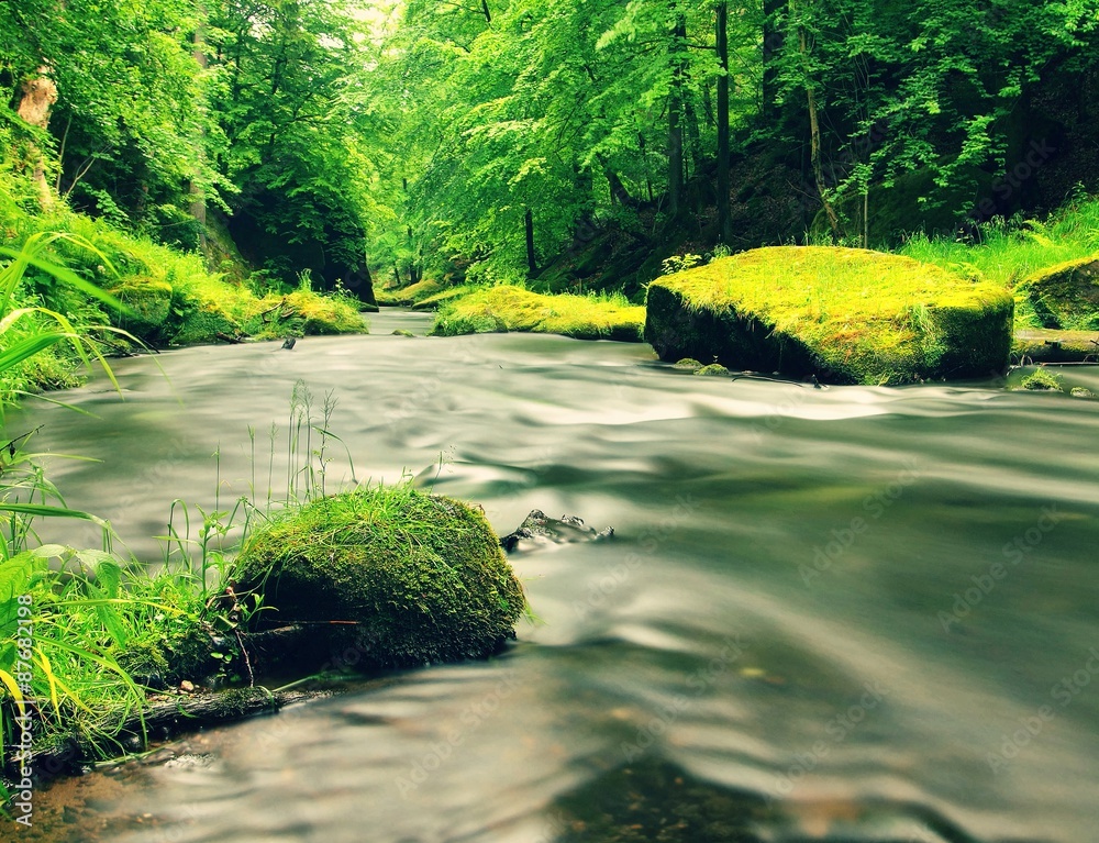 Mountain stream in sandstone gulch and below green branches of acacias ...