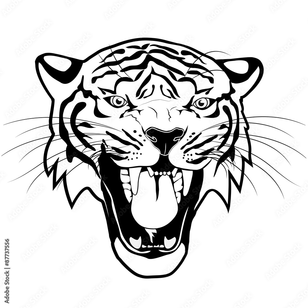 TIGER, ANGRY TIGER OUTLINE Stock Illustration | Adobe Stock