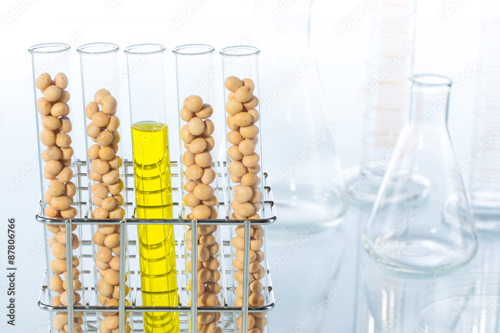 Soybean genetically modified, Plant Cell Stock Photo | Adobe Stock