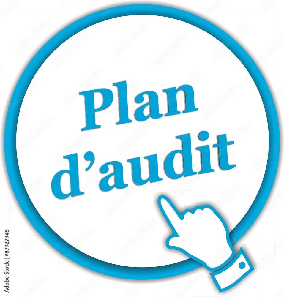 bouton plan d'audit Stock Vector | Adobe Stock