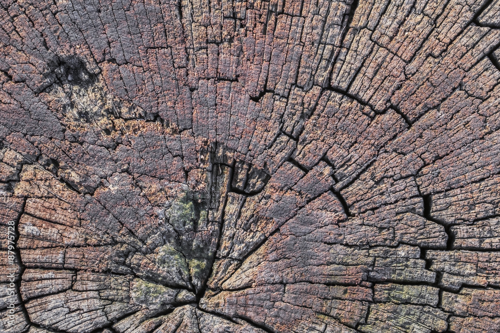 Top surface of an old, bituminous, weathered, rotten, Square Timber ...
