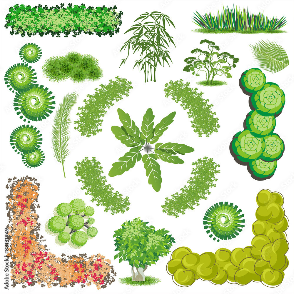 Trees and bush item top view for landscape design, vector icon. Stock ...