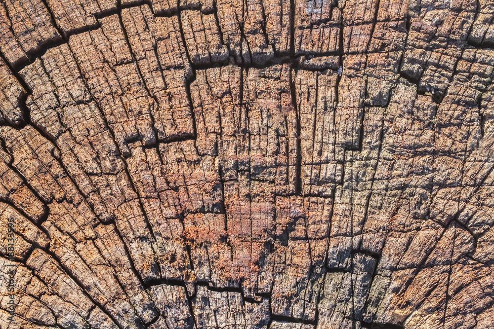 Top surface of an old, bituminous, weathered, rotten, Square Timber ...