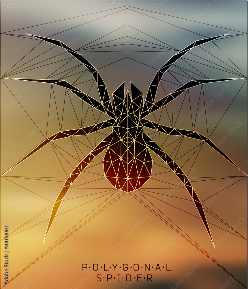 Polygonal spider. Geometric illustration Stock Vector | Adobe Stock