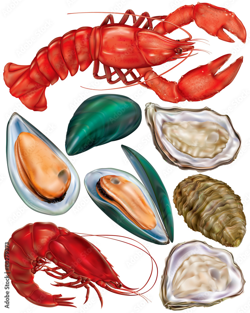 set of seafood Stock Vector | Adobe Stock