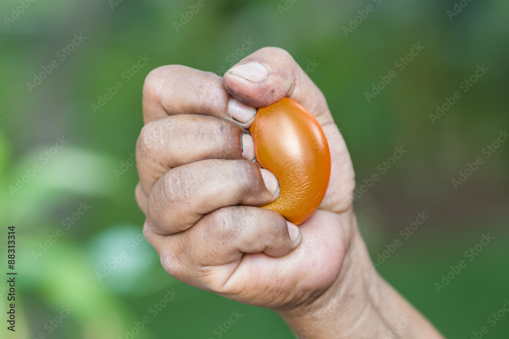 Hands of man squeezing a stress ball Stock Photo | Adobe Stock