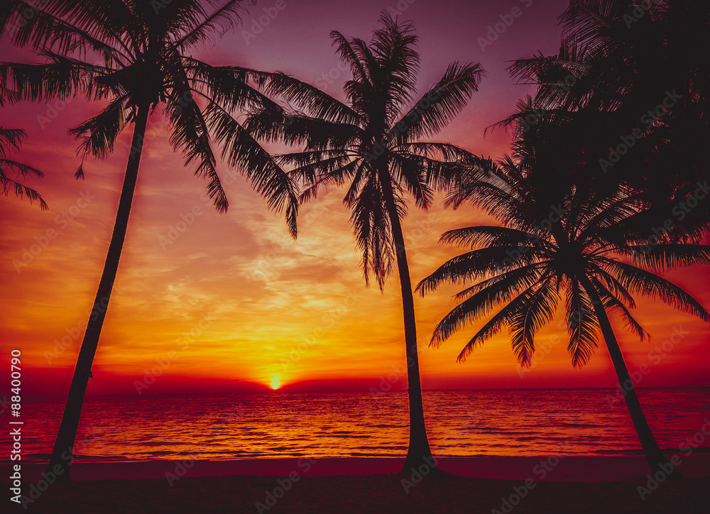 sunset tropical beach. Beautiful sunset Stock Photo | Adobe Stock
