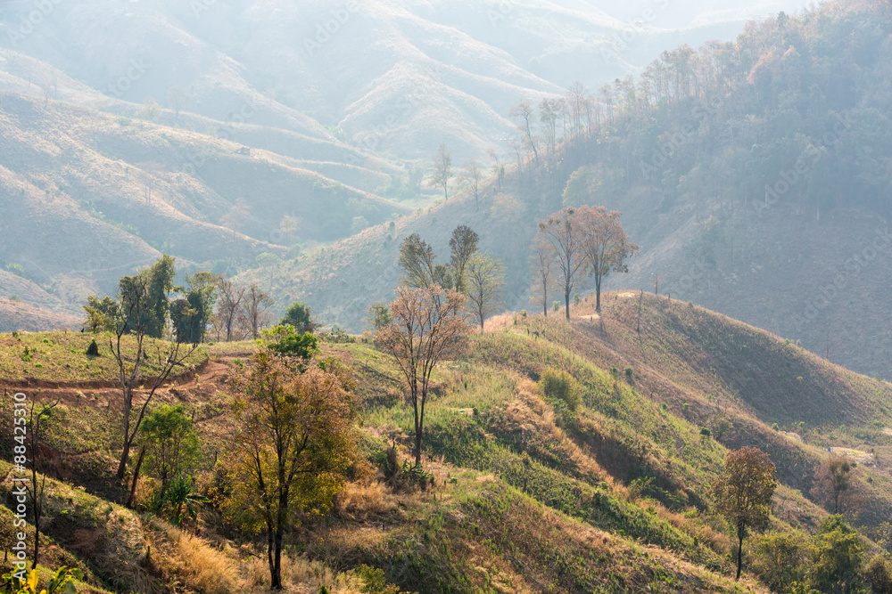 Deforestation and Farming Stock Photo | Adobe Stock