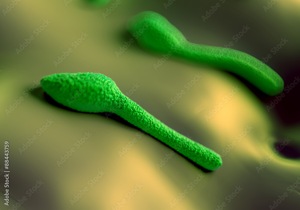 Clostridium tetani bacterium Stock Illustration | Adobe Stock