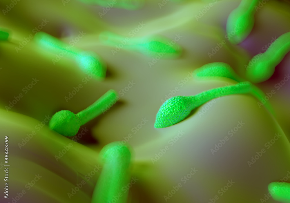 Clostridium tetani bacterium Stock Illustration | Adobe Stock